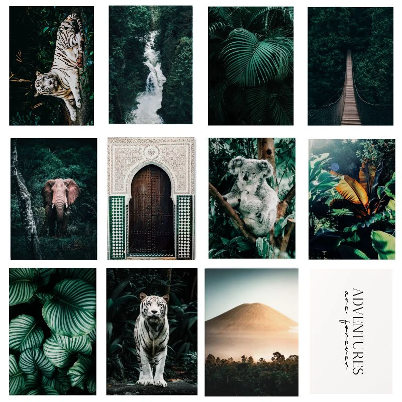 Tiger Tropical Jungle Poster | Poster Wall Forest Jungle | Posters ...