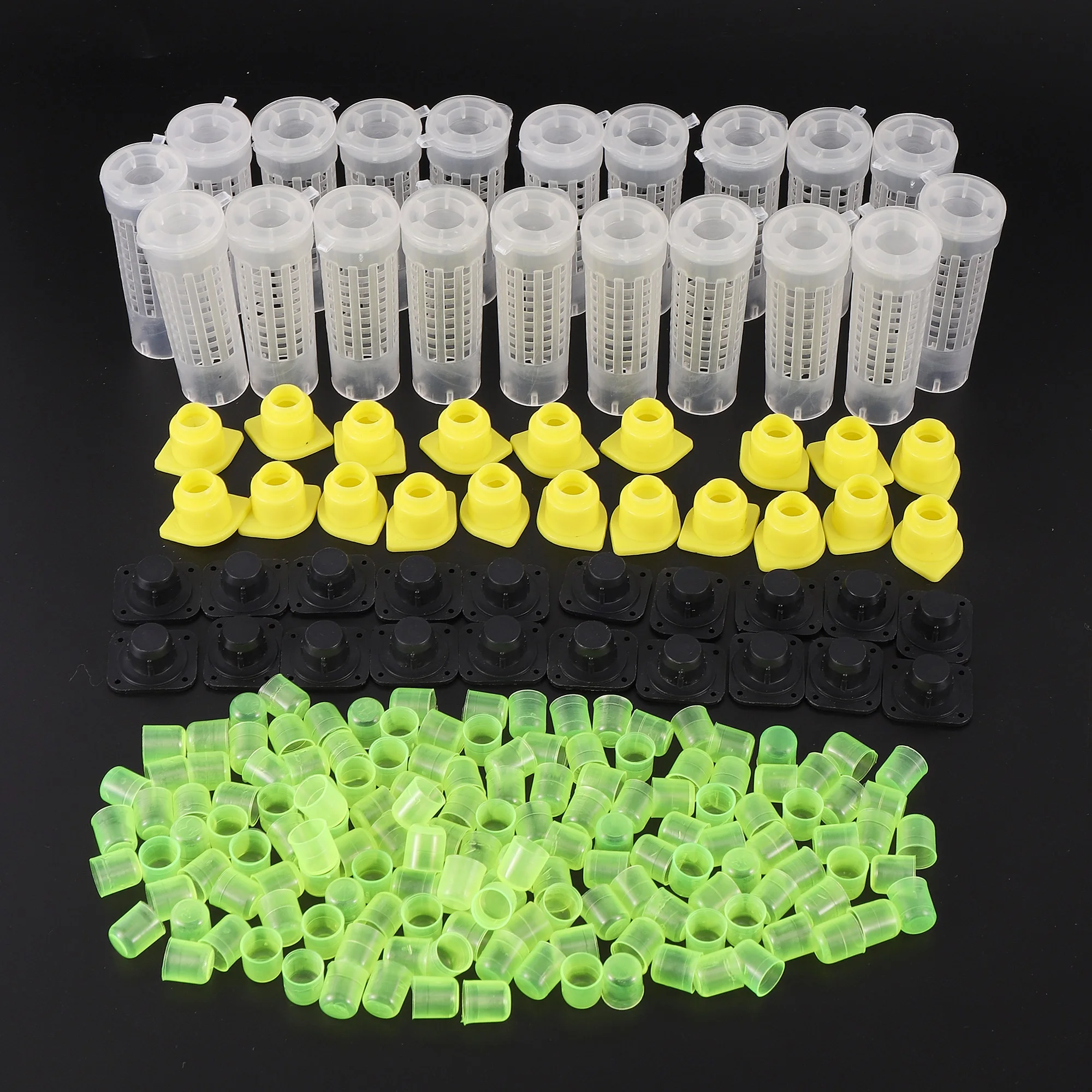 King Queen Rearing System Plastic Bee Beekeeping Catcher Box Cell Cups ...