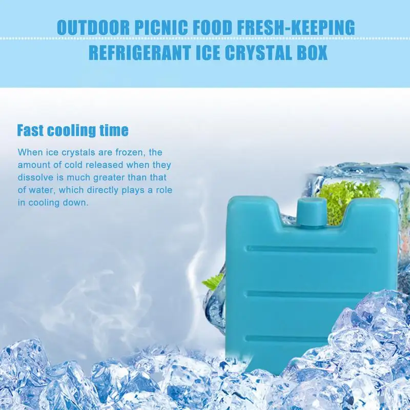 5PCS Ice Box Freezer Picnic Camping Practical Travel Fruit Reusable ...