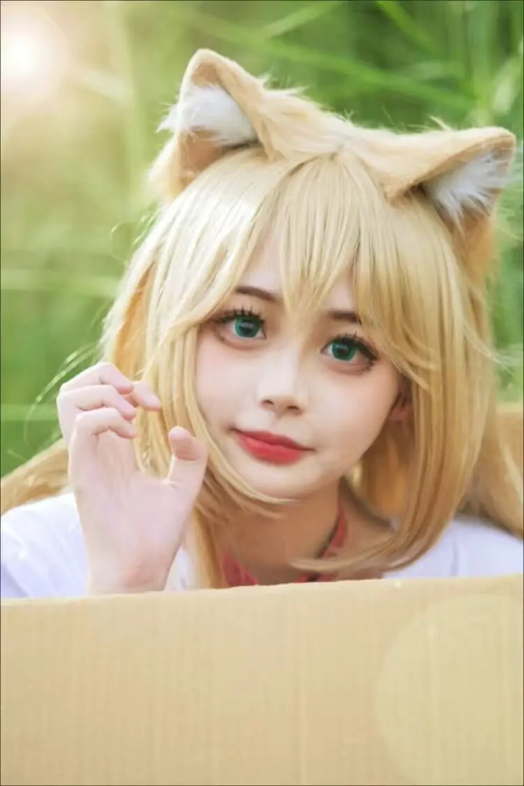 40 Hara Kinako Cat Girl Pet Kitty Osakana Cosplay Wig Long Lolita Heat ...
