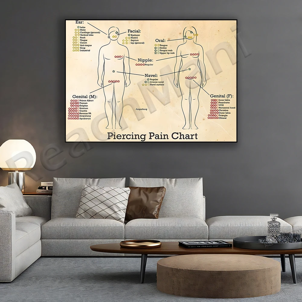 Body Piercings Pain Chart