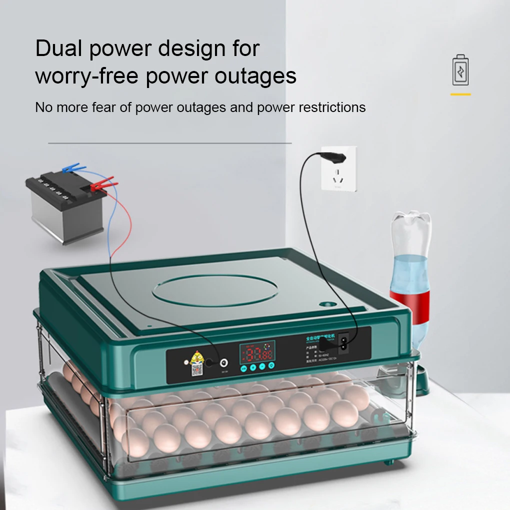 Eggs-Incubator-Farm-Incubation-Tools-Professional-Bird-Quail-Hatcher ...