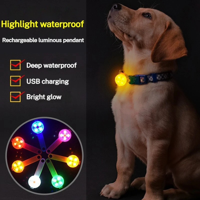 Light LED Dog Collar Pet Cat Night Safety Pendant Flashing Puppy ...