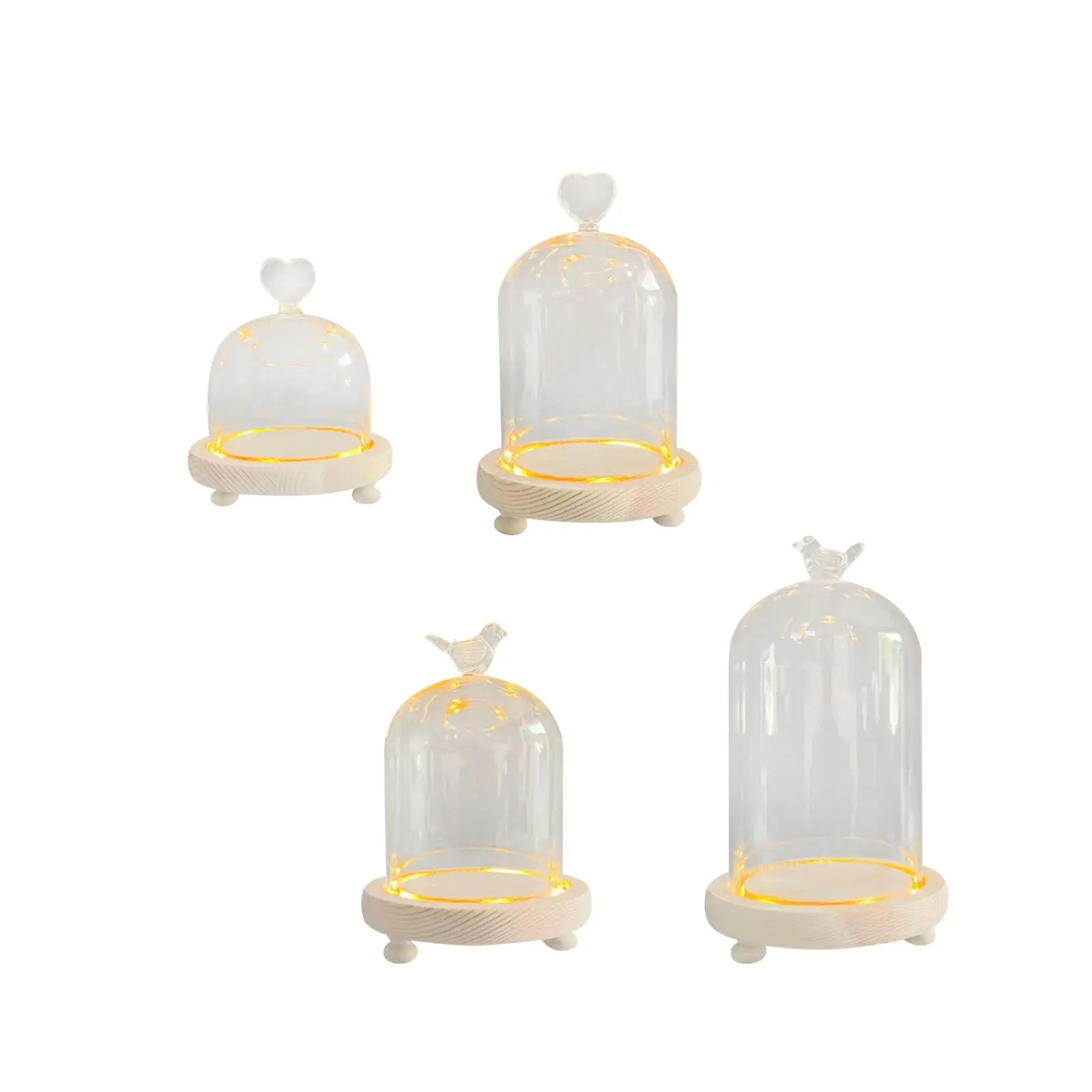 Clear-Glass-Cloche-Dome-Office-Container-Decorative-Showcase-with-Base ...