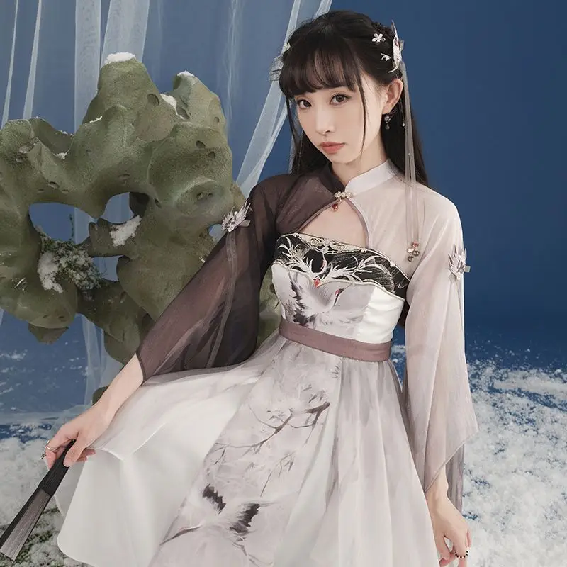 Spring-Gothic-Style-Embroidered-Black-White-Sleeves-Hanfu-Dress-Women-s ...