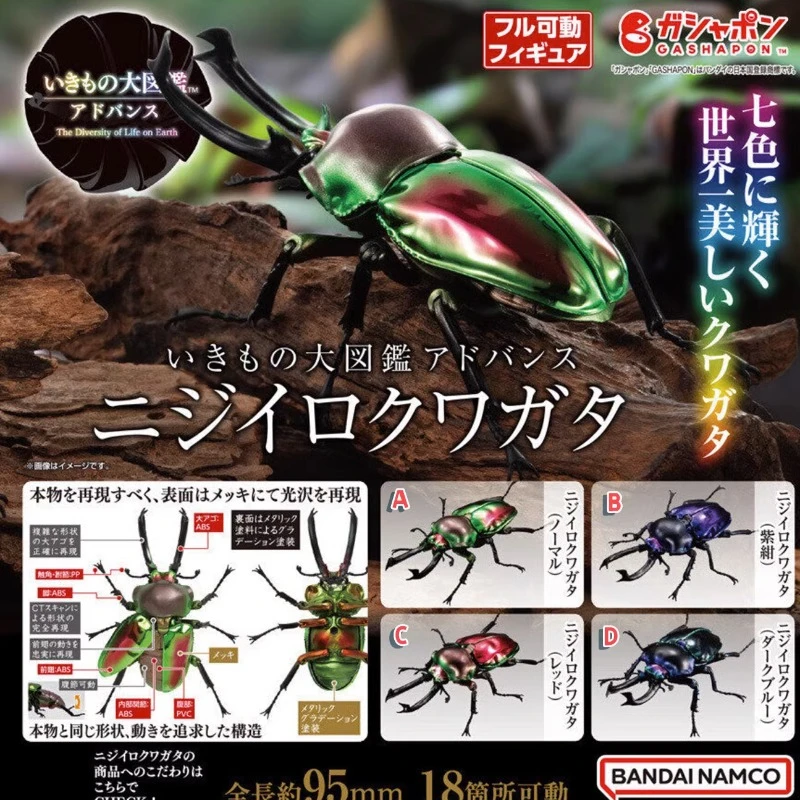 BANDAI-Kawaii-Gashapon-Figure-Cute-Biology-Map-Artificial-Insect ...