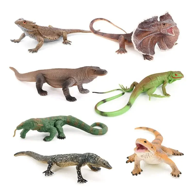 Simulation-animal-model-reptile-amphibious-green-iguana-lizard ...