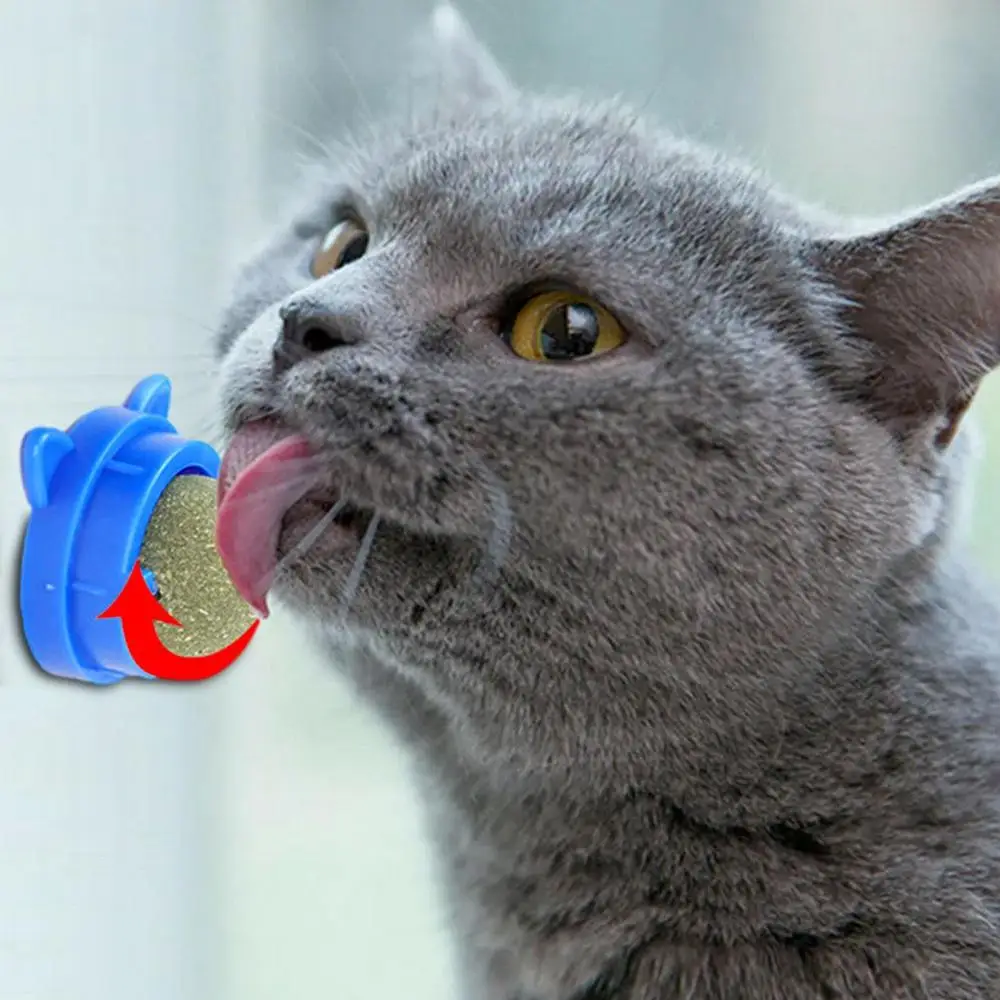 Jouet,Balle arina murale en herbe de cataire naturelle pour chat ...