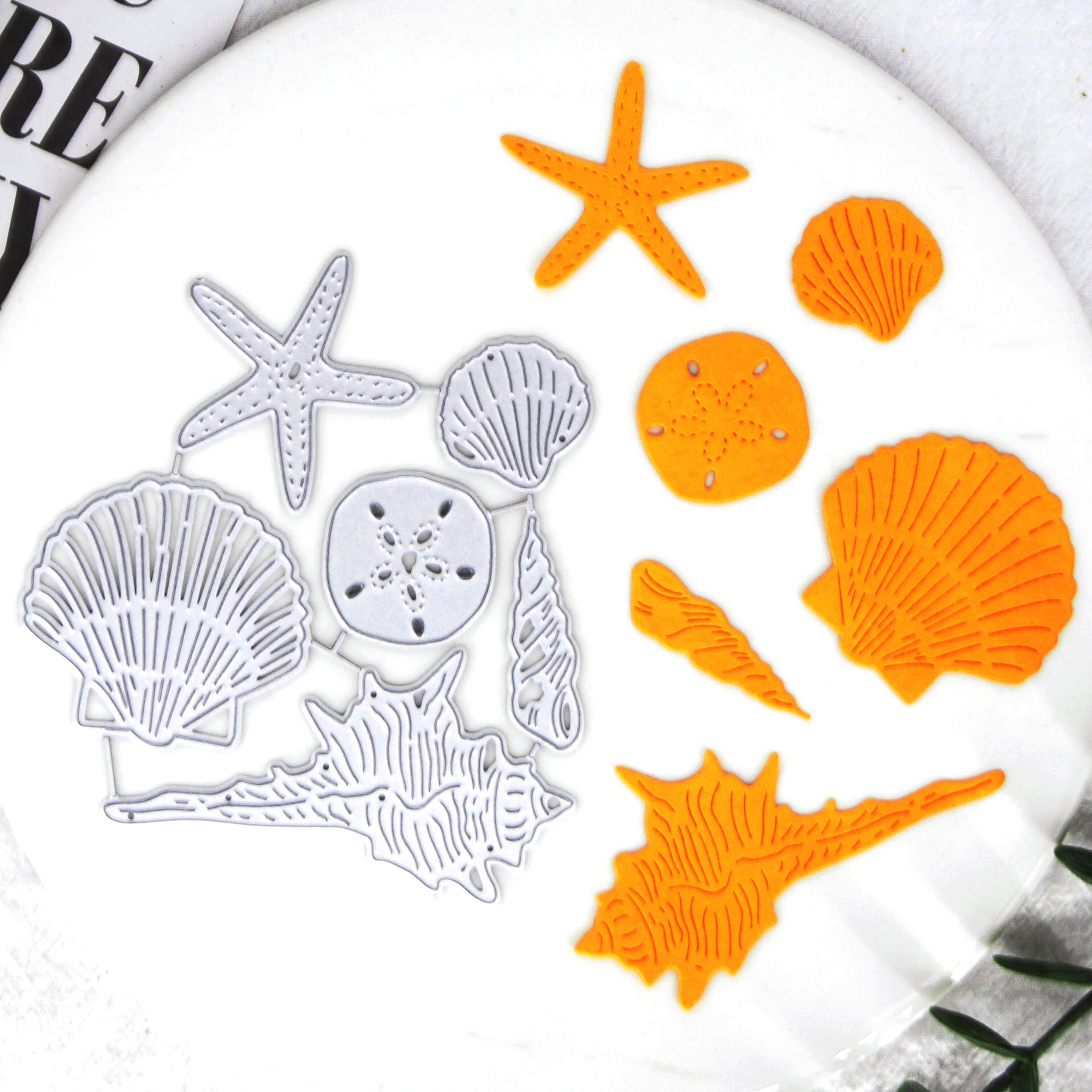 Sea-Shells-Conch-Pattern-Metal-Mold-Cutting-Die-DIY-Scrapbook-Greeting ...