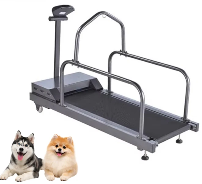 2026 Dog Training Machine Best Selling 5 HP Treadmill for Pets Walking ...