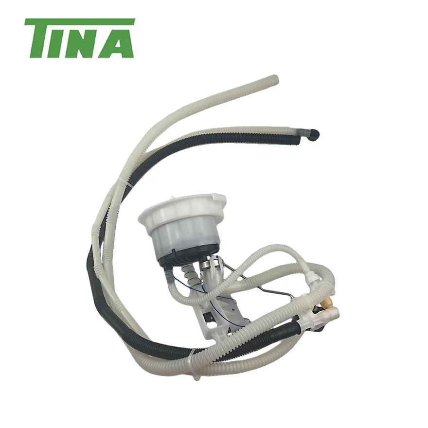 16117170090 A2C53025285Z 16112283495 16117313791 Fuel Pump assembly For ...
