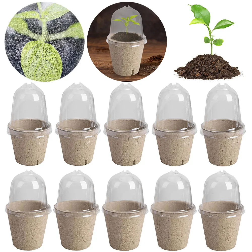 10Pcs-Seedling-Cup-Germination-Planter-Transparent-Lid-Greenhouse ...