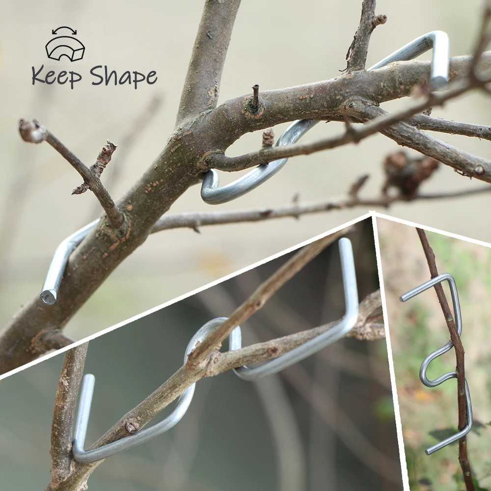 10Pcs-8-10-13-18cm-Fruit-Tree-Branches-Holder-Metal-Puller-Tying ...