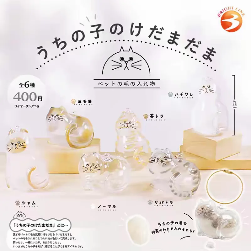 In stock Bright Link capsule toys kawaii transparent My pet's fur ...