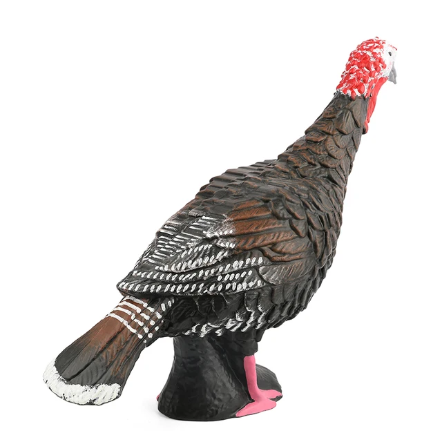 Store Home Products Sale Items Top Selling New Arrivals Feedback