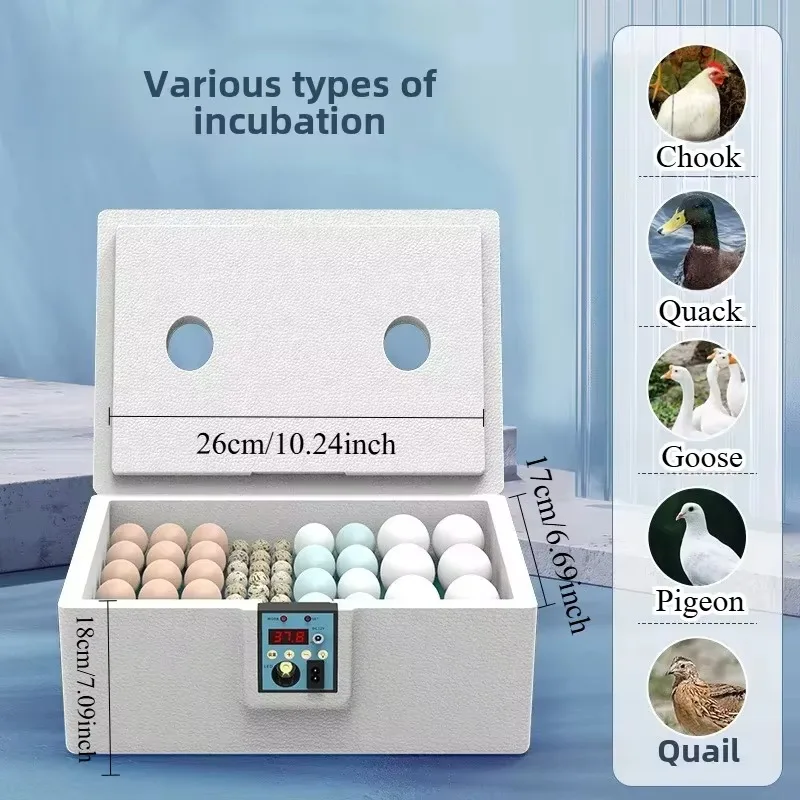 Poultry Incubator Bionic Waterbed and Incubator All-in-One Machine ...