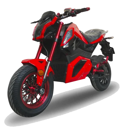 New-Model-Z6-1500W-2000W-Adult-Electric-Motorcycle.jpg