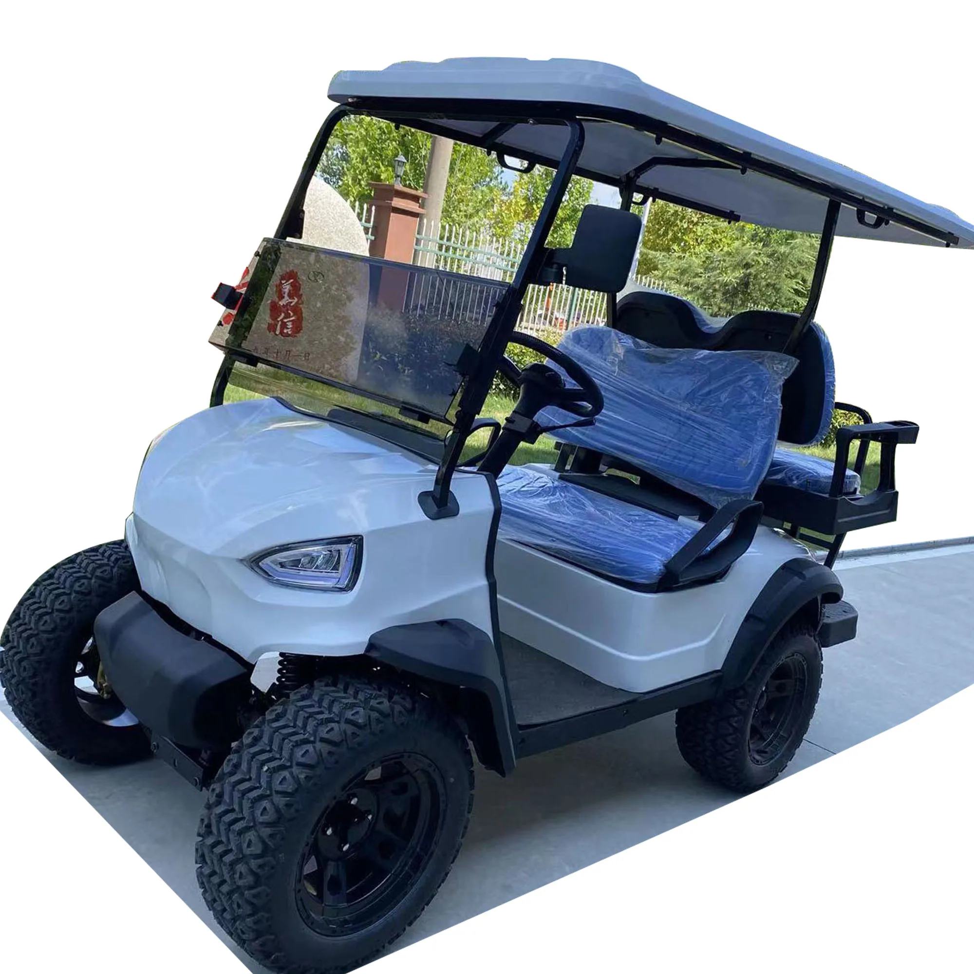 Fast Luxury Golf Carts