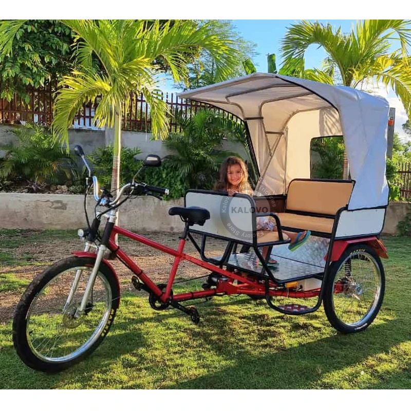 5-Passenger-Rickshaw-750W-Electric-Power-Bike-Taxi-Business-Pedicab-Tricycle-With-LED-Billboard.jpg