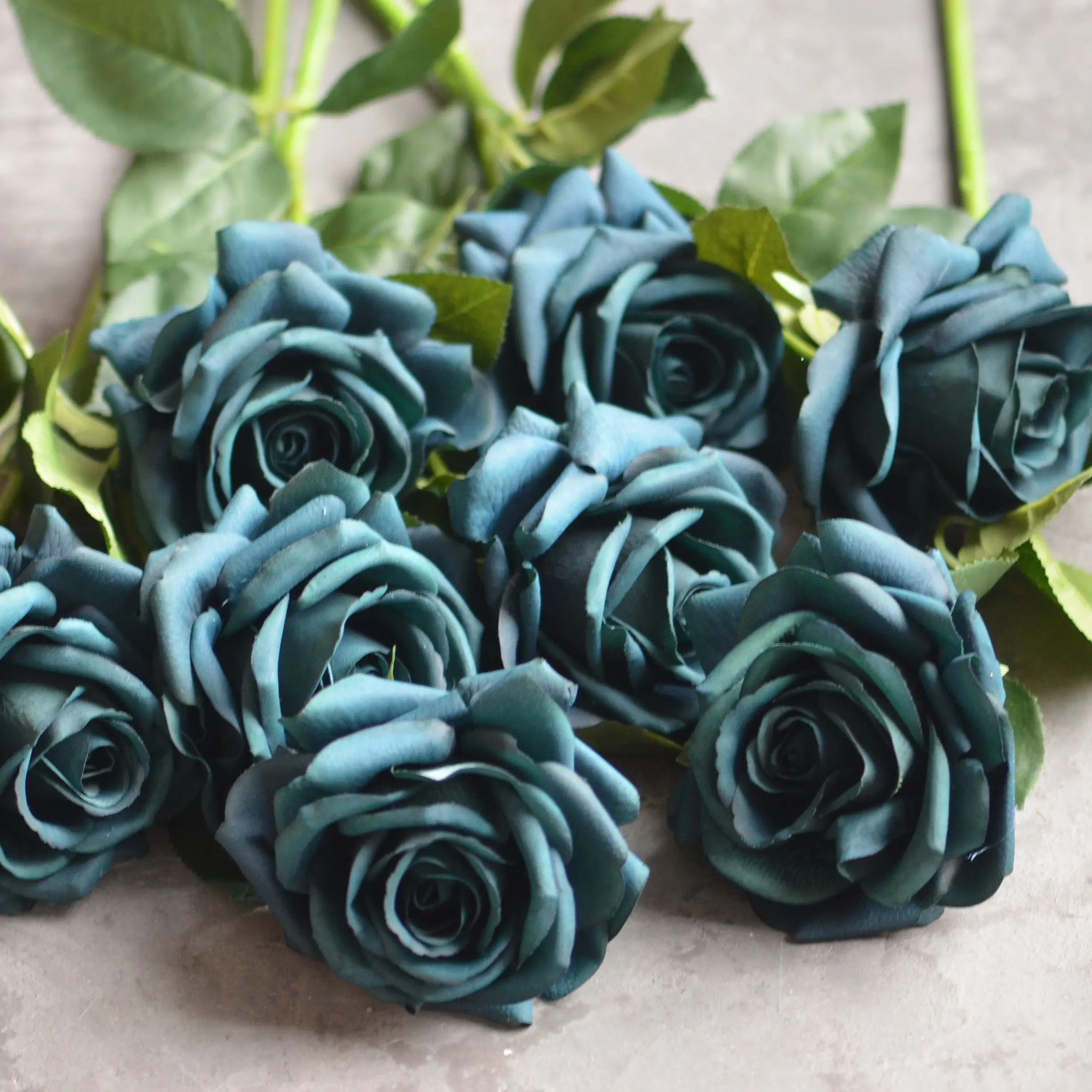 Green And Blue Roses