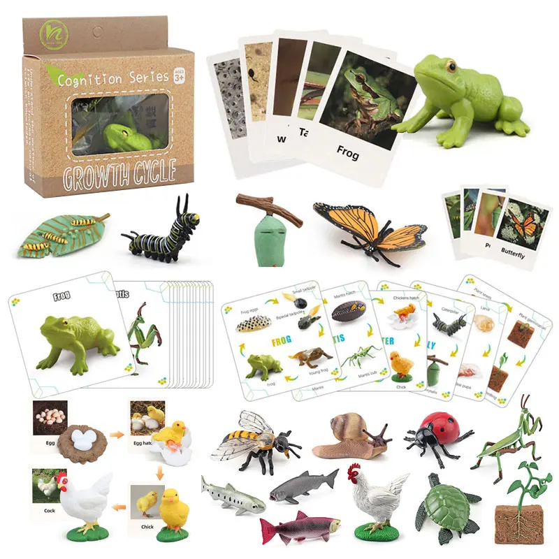 Kids-Simulated-Animal-Model-Card-Set-Educational-Toys-Insect-Plant ...