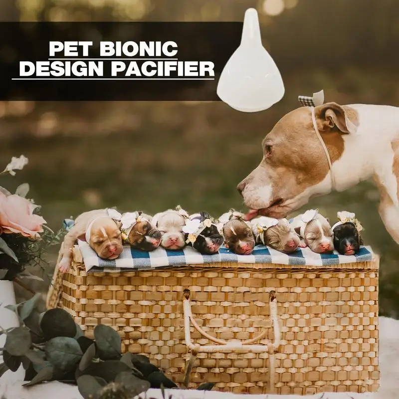 Silicone-Pet-Feeding-Nipple-Mini-Cat-Universal-Feeding-Pacifier-for ...