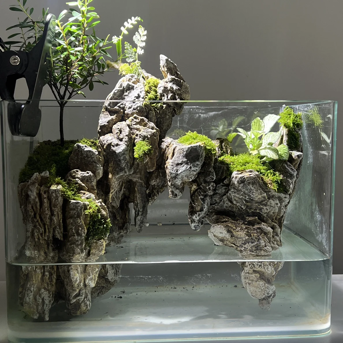 Water-absorbent Ceramic Fish Tank Decoration Stone Micro-landscape ...