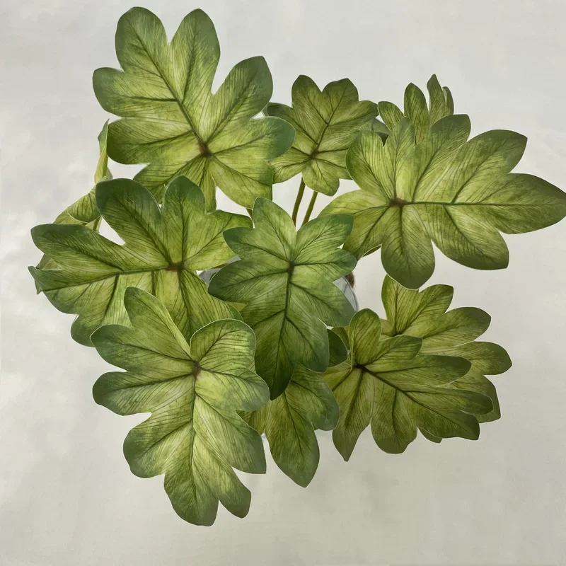 Artificial Green Plants Plastic Begonia Turtle Back Bamboo Apple Leaves ...