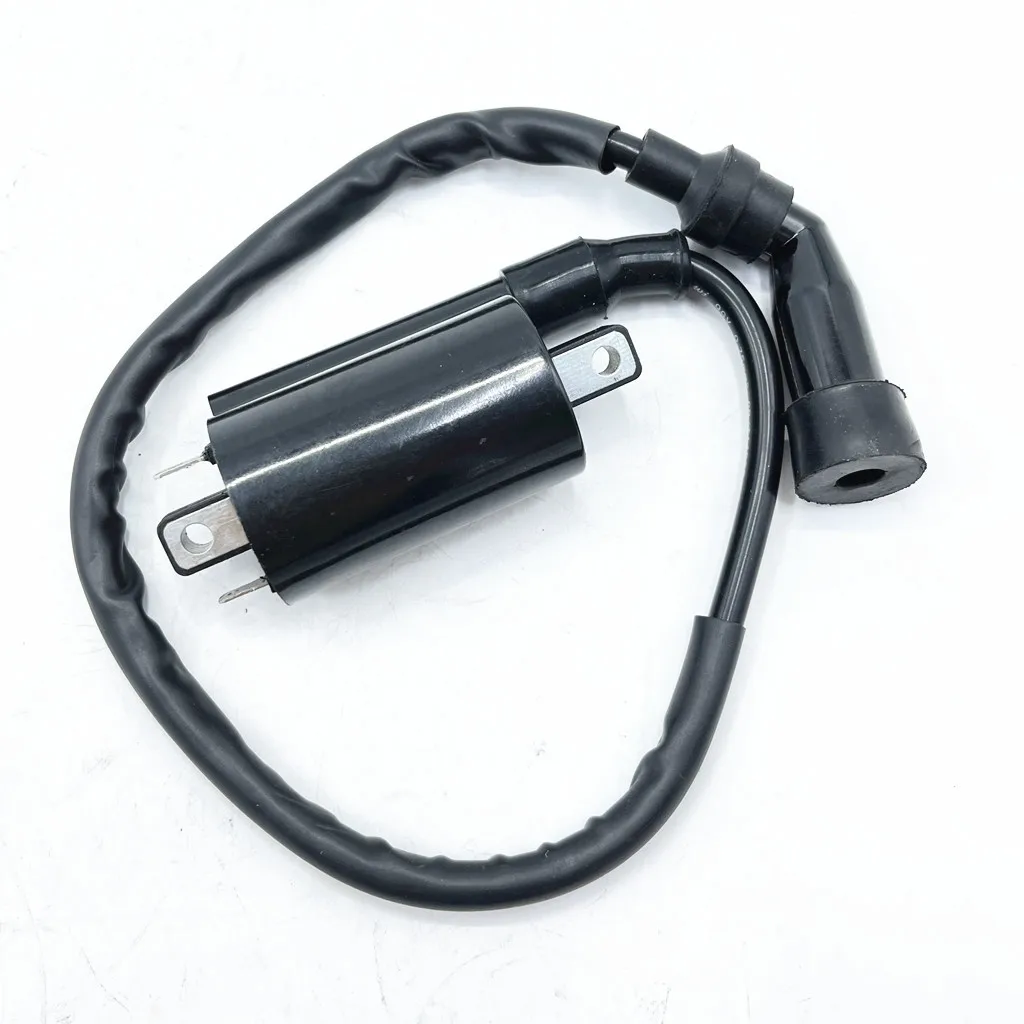 Ignition Coil For Buyang Feishen FA 300CC D300 G300 H300 Linhai 260cc ...
