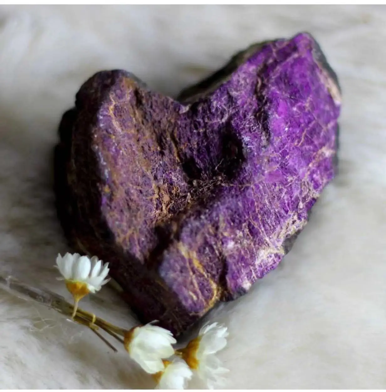 1 Pc Natural Purpurite Raw Purple Light Crystal Quartz Rough Unpolished ...