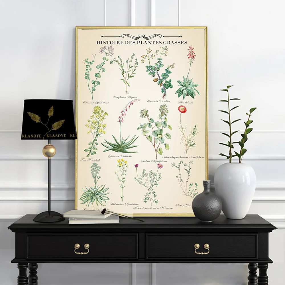 Augustin Pyramus De Candolle