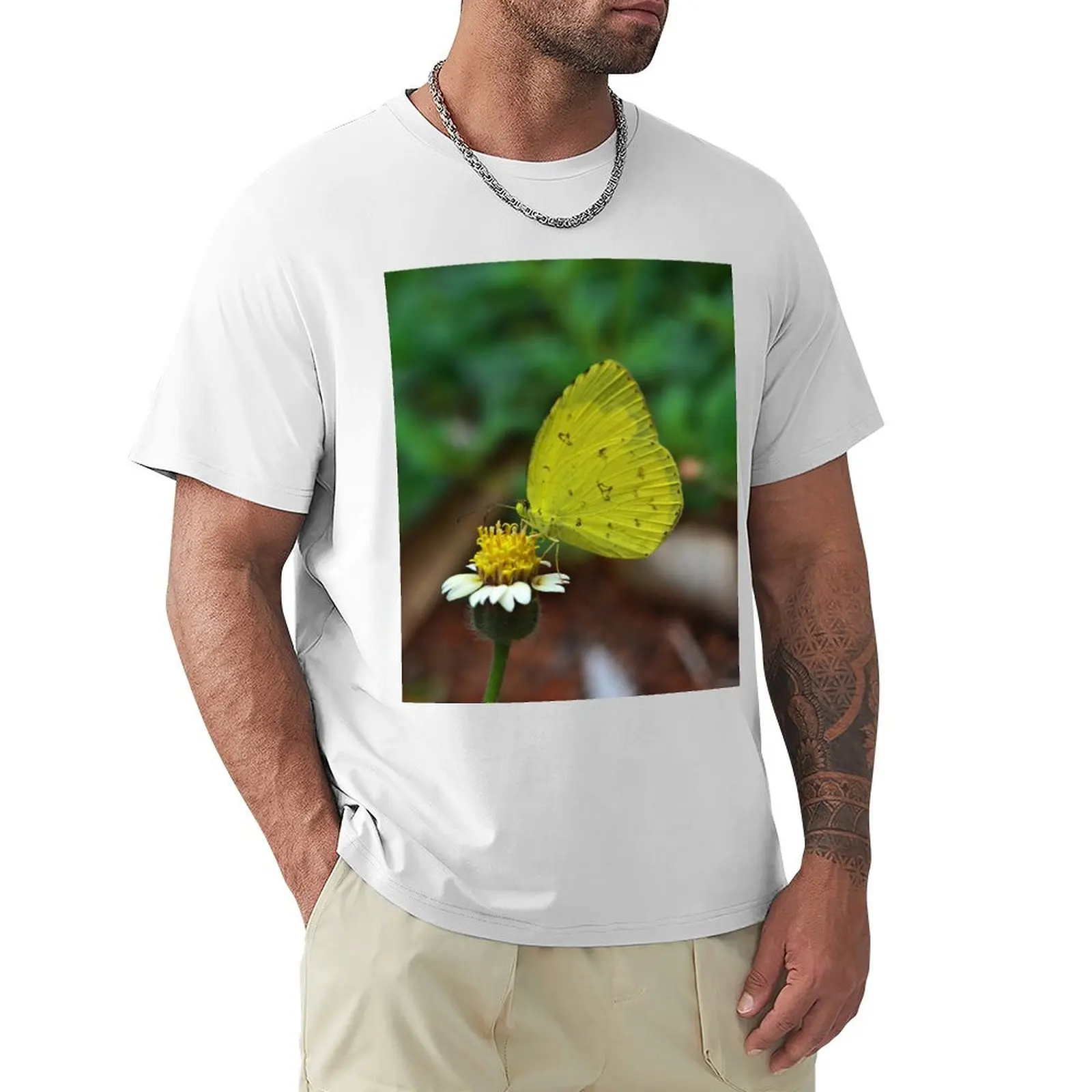 Common-emigrant-butterfly-T-shirt-new-edition-heavyweights-boys-animal ...
