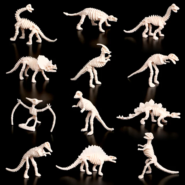 Dinosaur Fossil Models Clearance | emergencydentistry.com