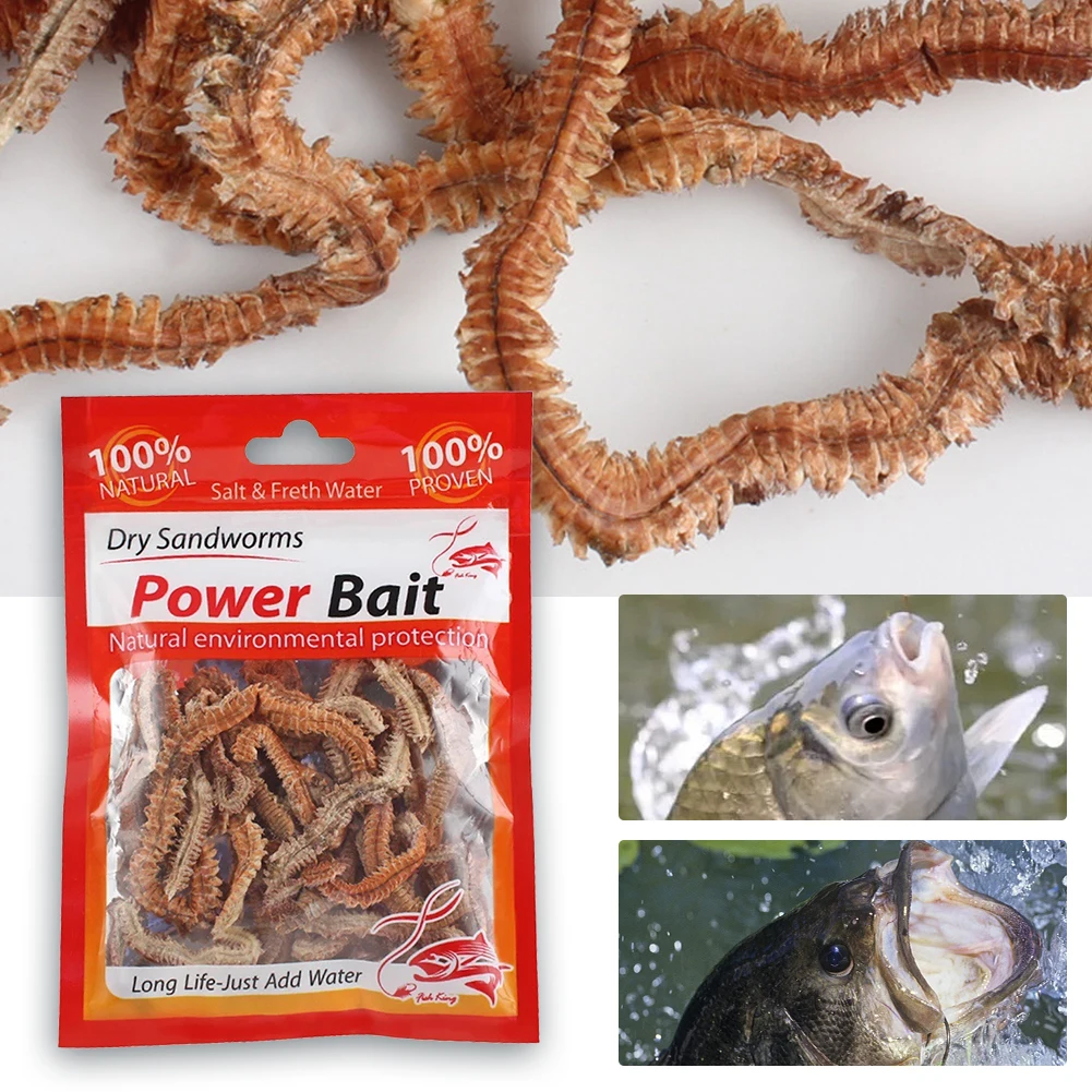 Dry-Sandworms-Fishing-Lures-Artificial-Sea-Worms-Soft-Fishing-Lures-for ...