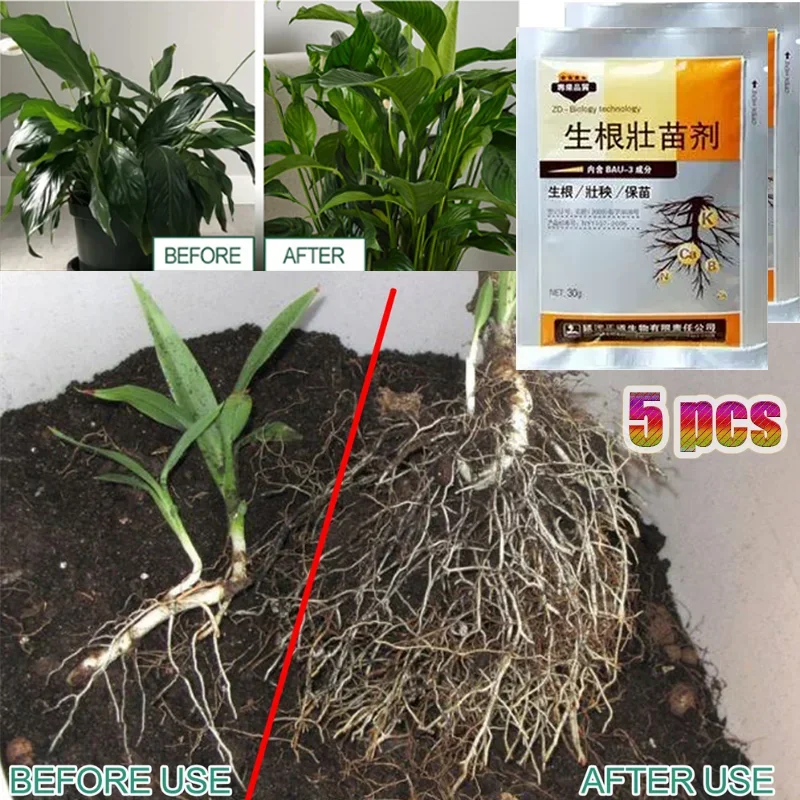 5-Pcs-Plant-Rooting-Auxin-Nutrient-Plant-Growth-Promoter-Supplement ...
