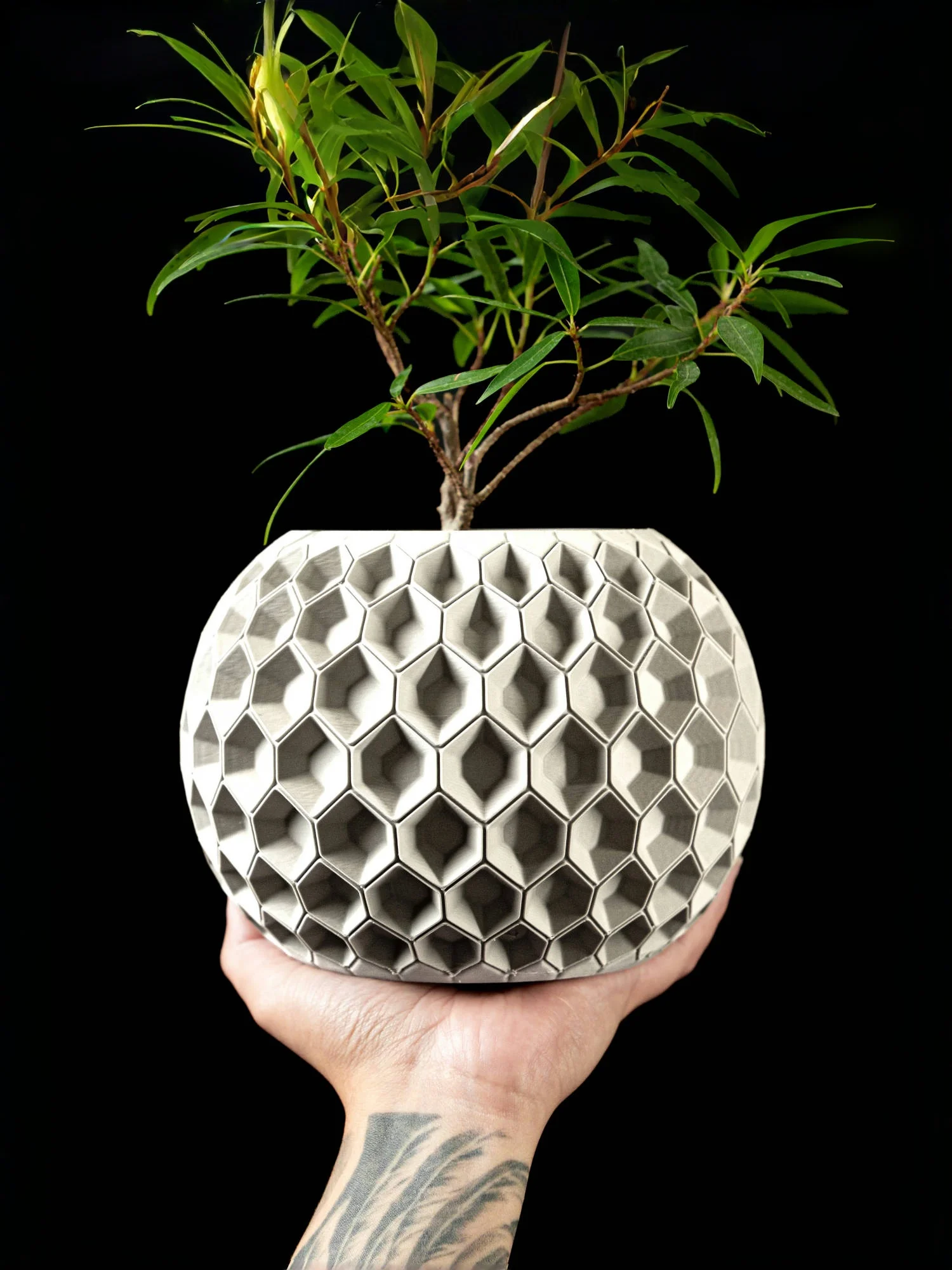 Modern minimalist 3D printed flower pots - biodegradable planters for ...
