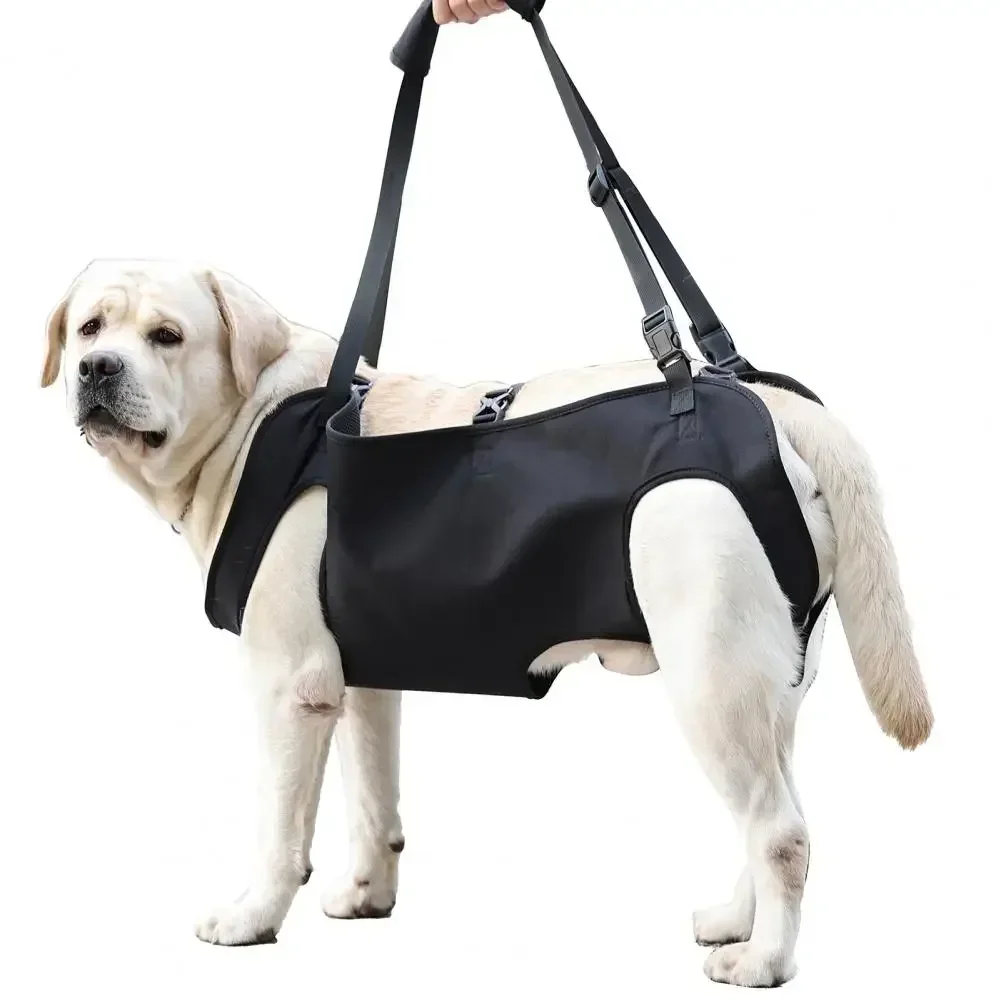 Portable Dog Sling For Back Legs Hip Support Harness Older Limping ...