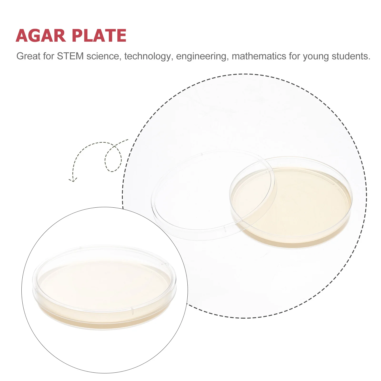 10pcs Nutrient Agar Plates 9cm Ready To Use TSA Agar Petri Dishes ...