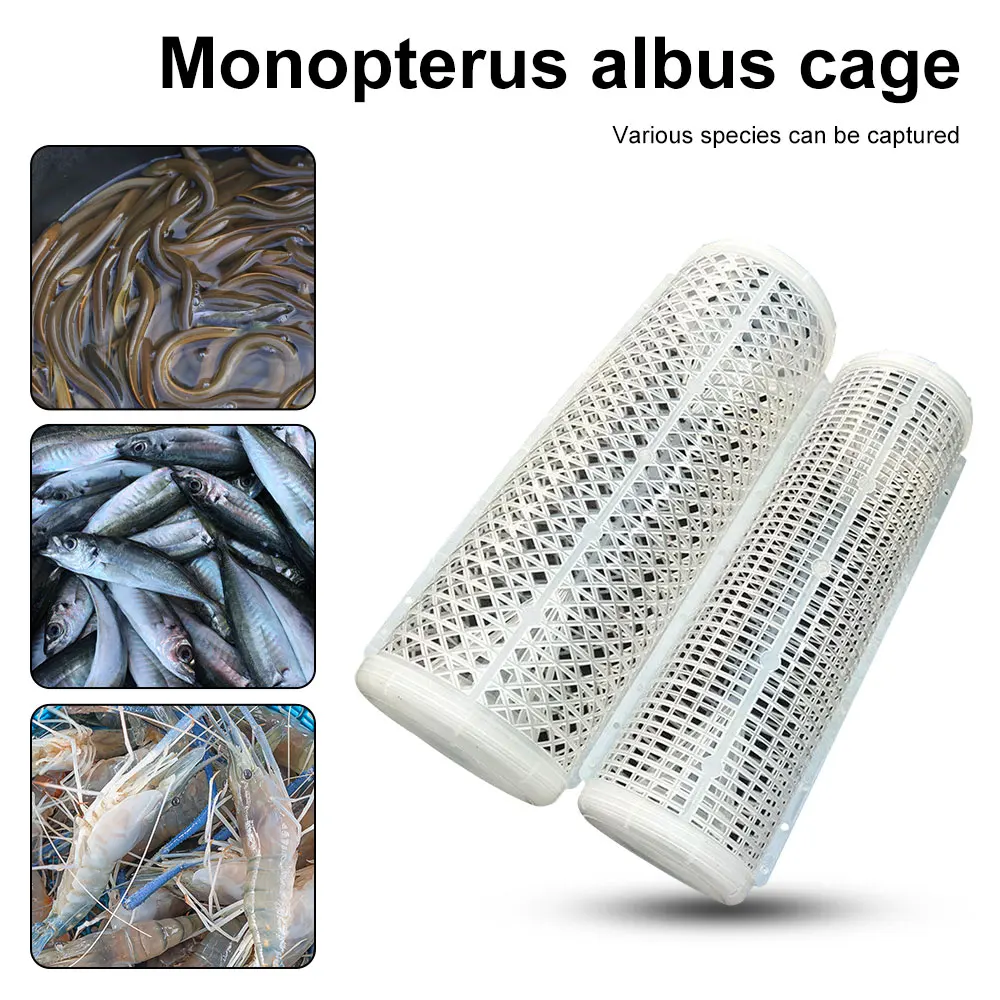 Shop1103027109 Store