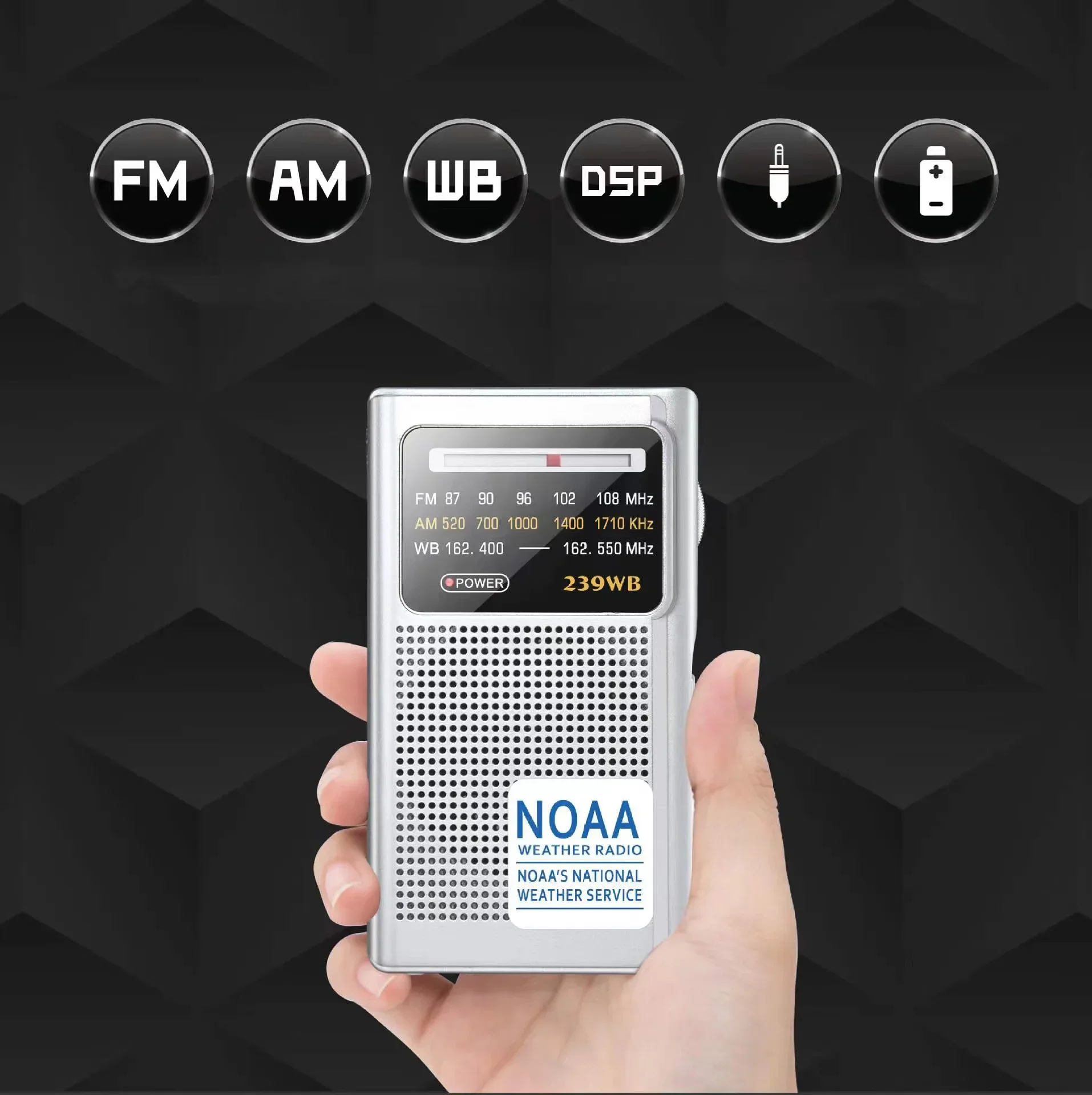 FM AM NOAA Emergency Pointer Tuning Radio DSP Mini Handheld, 04/06/2024