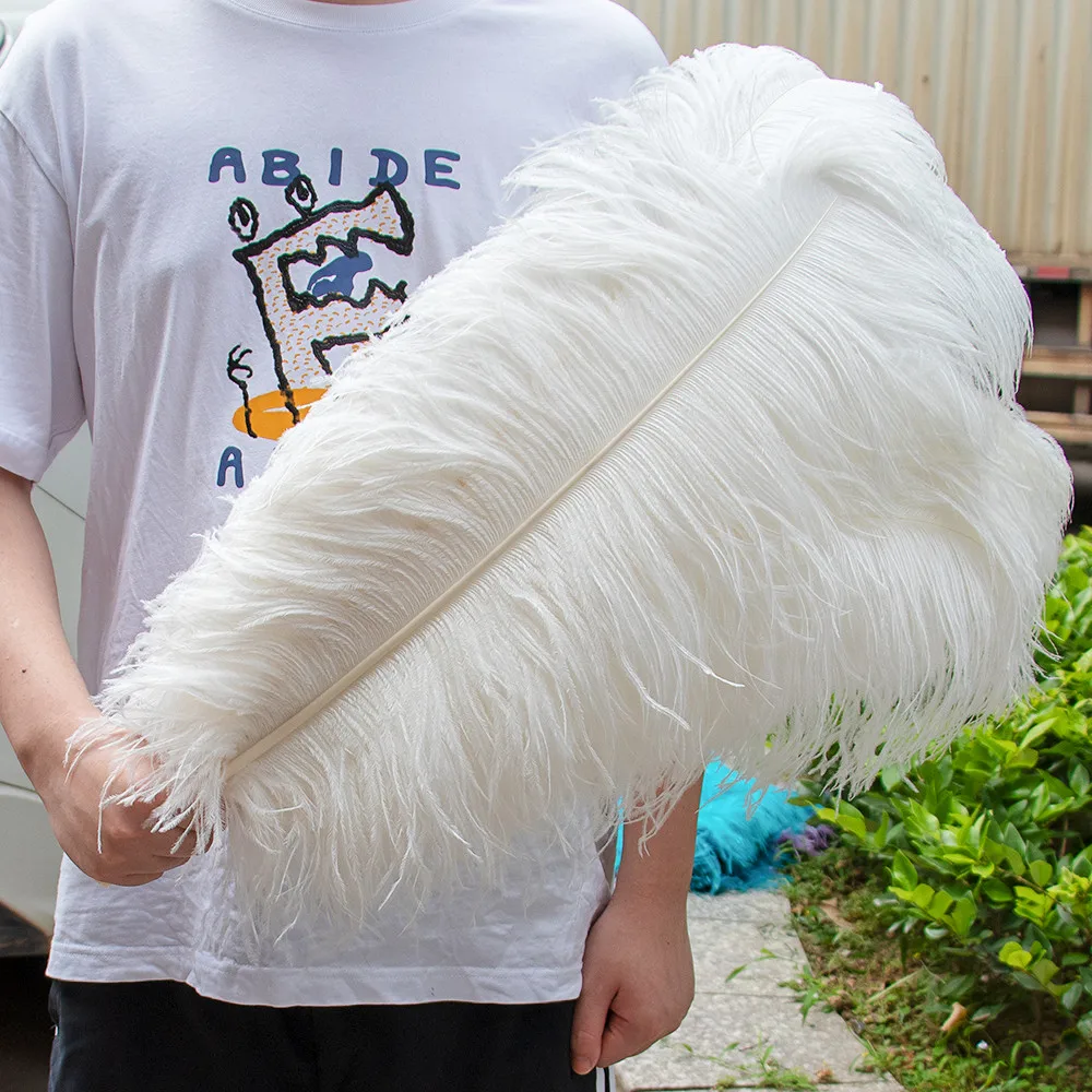 10Pcs-White-Ostrich-Feathers-15-60cm-8-24-Big-Feather-for-Crafts ...