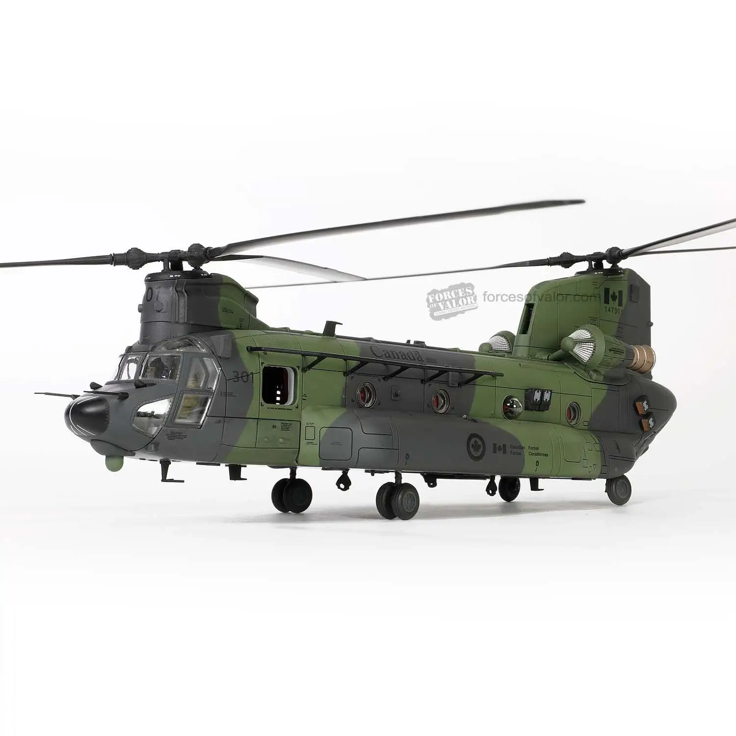 Canadian Chinook Helicopter