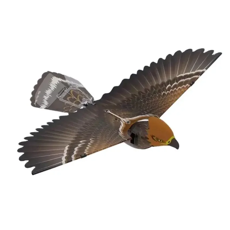 Go-Go-Bird-Golden-Eagle-Biomimetic-Eagle-Remote-Control-Flight-Bird-HD ...