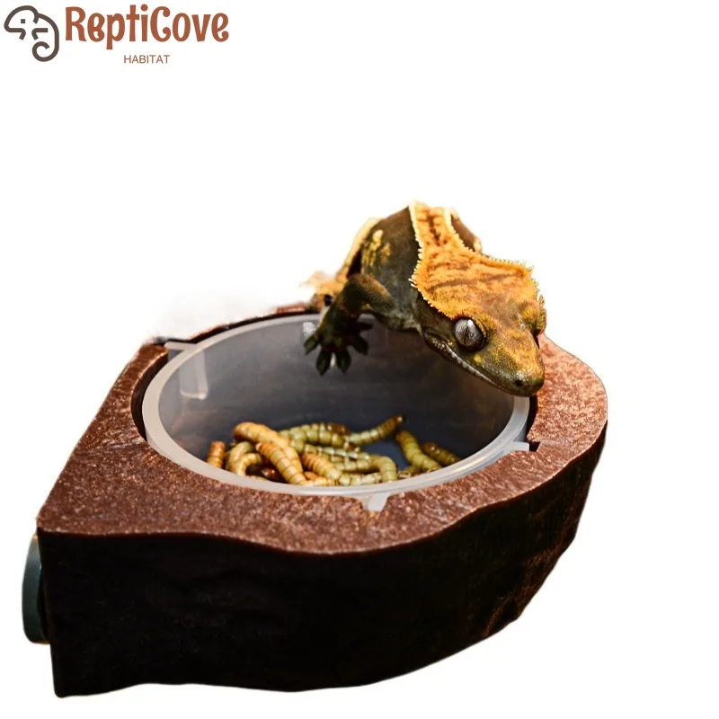 Resin Reptile Fruit Puree Live Insect Anti-escape Feeding Basin with ...