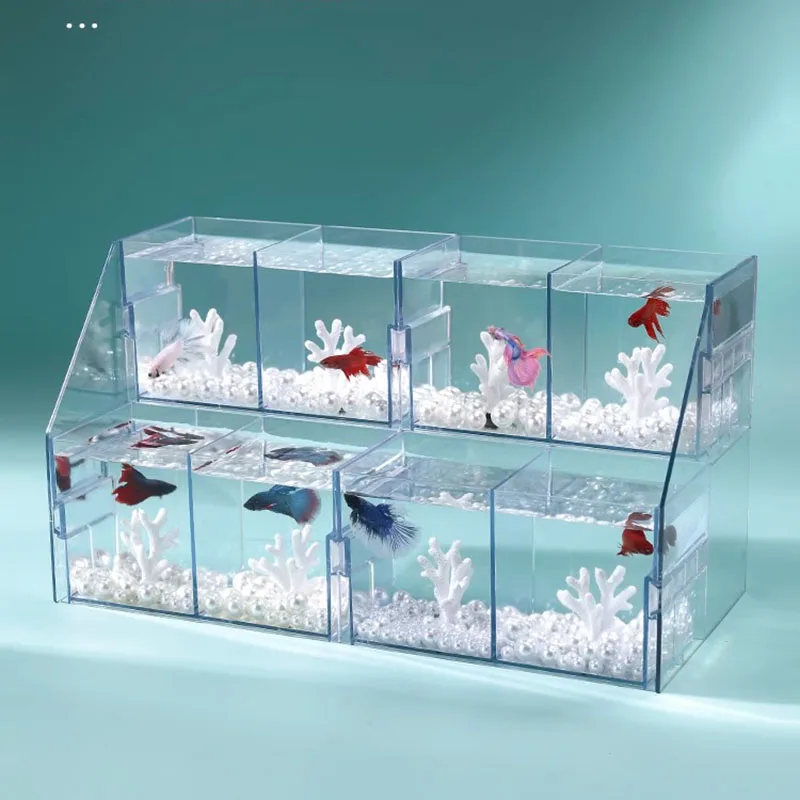Acrylic-Ornamental-Fighting-Fish-Tank-New-Small-Row-Tank-Transparent ...