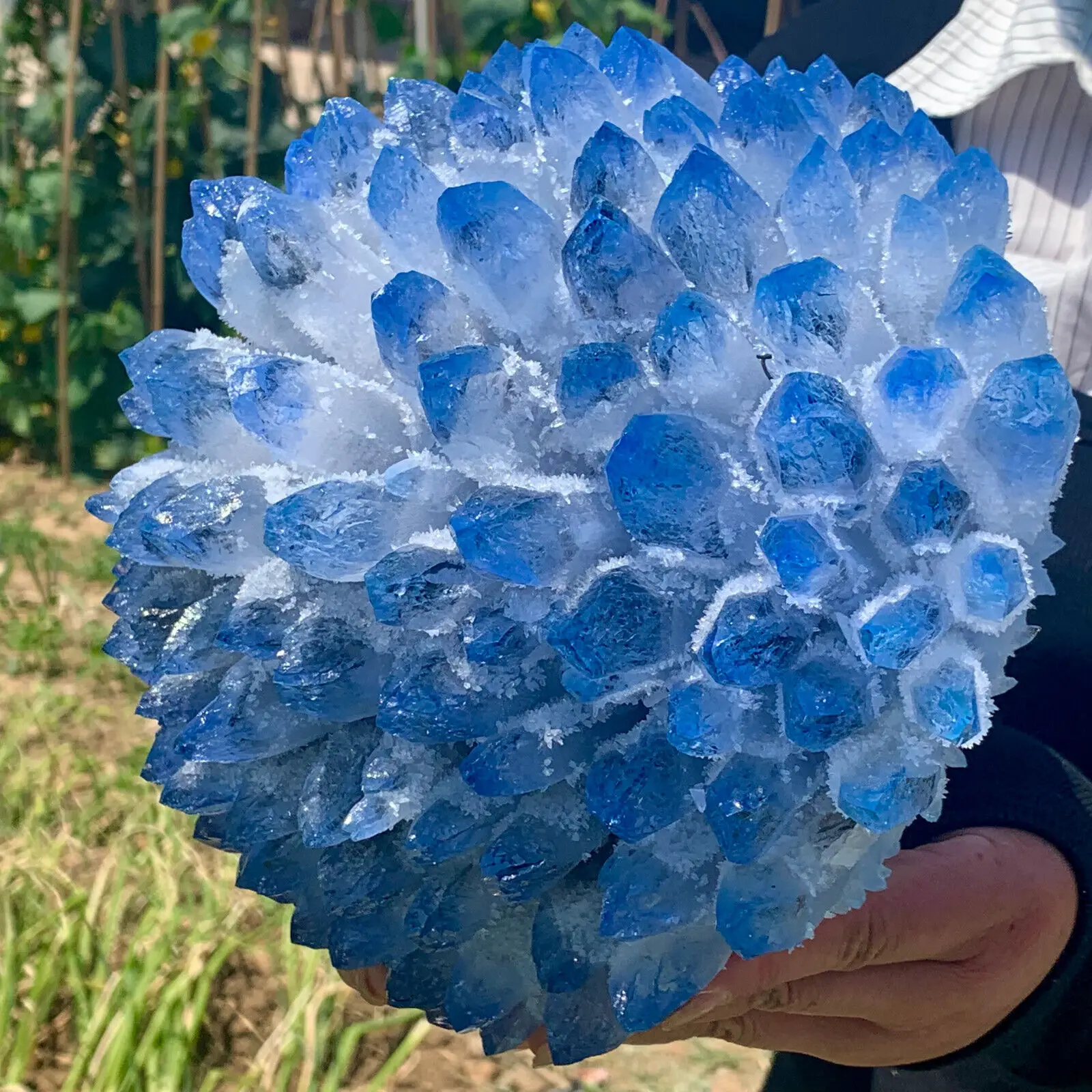 Rare-Beautiful-Blue-Phantom-Quartz-Crystal-Cluster-Specimen-Cured.jpg