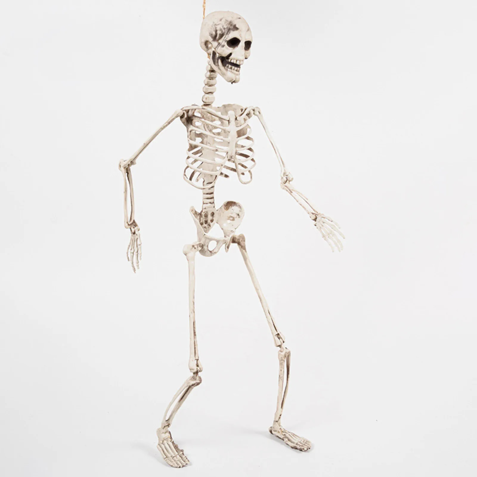 Halloween Scary Movable Poseable Full Life Size Human Skeleton Hanging ...