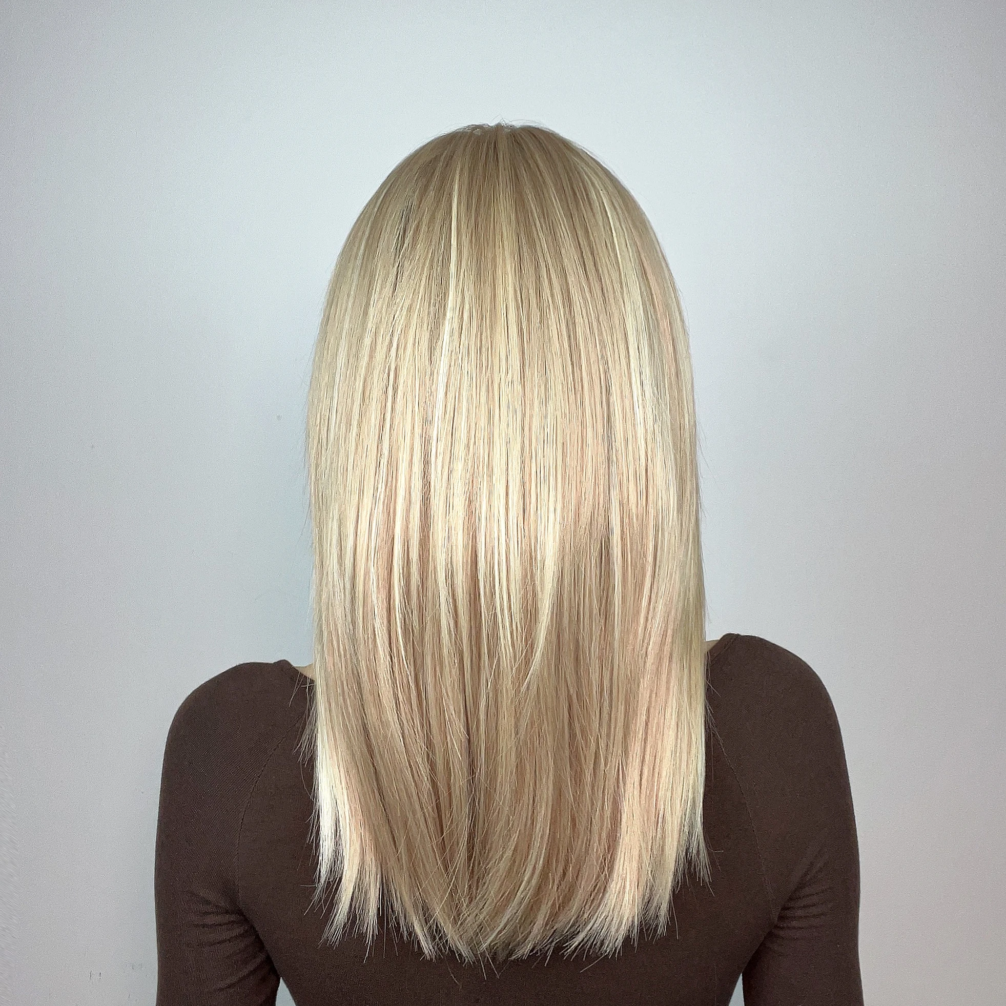 Medium Straight Layered Haircuts Back View