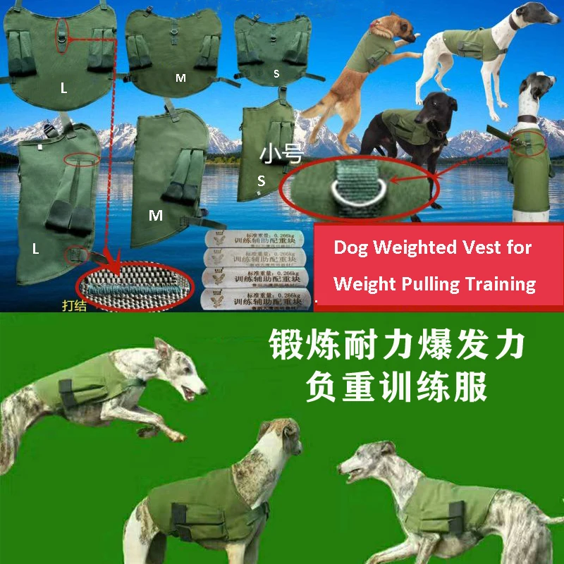 Dog-Weighted-Vest-for-Weight-Pulling-Training-for-Gree-Greyhound ...