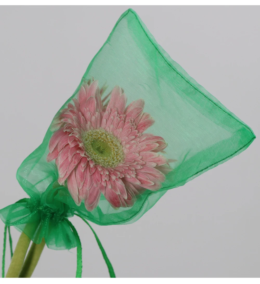 Type G-10-200PCS Grape Fruit Protection Bag Garden Guard Against Pest ...